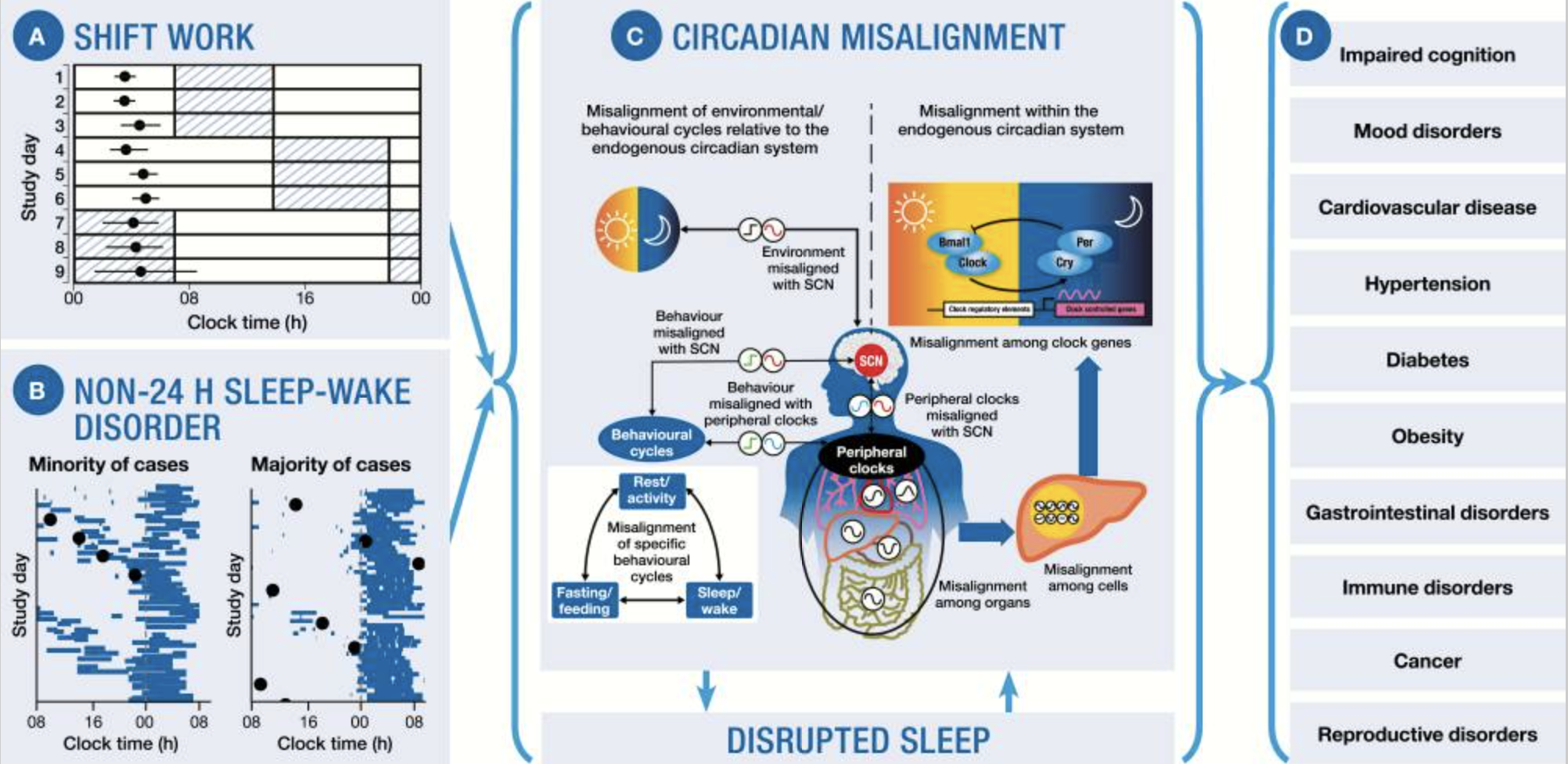 The Science Behind SleepSync — SleepSync